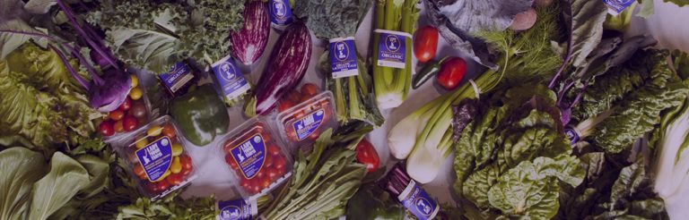 Organic Produce Recipes Featuring our Vegetables - Lady Moon Farms ...