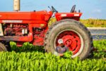 Fresh, Certified Organic Produce, Soil-Grown at East Coast Farms