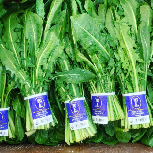Our Organic Produce: Non-GMO & Holistically Grown - Lady Moon Farms ...