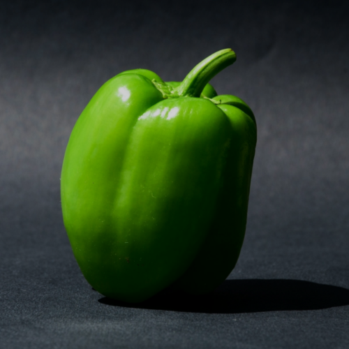Fresh, Certified Organic Produce, Soil-Grown at East Coast Farms