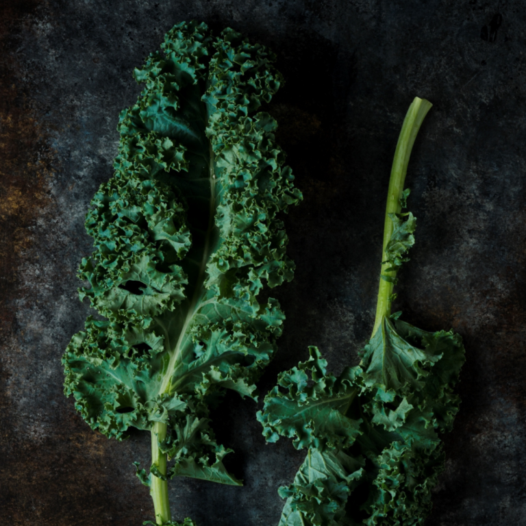 Fresh, Certified Organic Produce, Soil-Grown at East Coast Farms