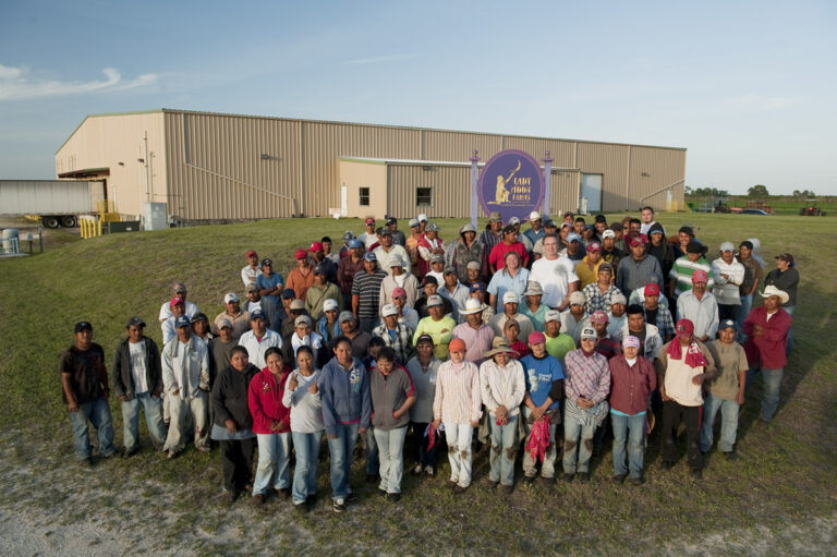 Fresh, Certified Organic Produce, Soil-Grown at East Coast Farms