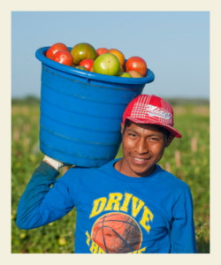 Lady Moon Farms with organic farms on the USA East Coast
