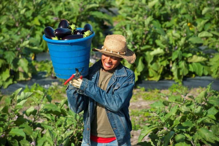 Lady Moon Farms with organic farms on the USA East Coast
