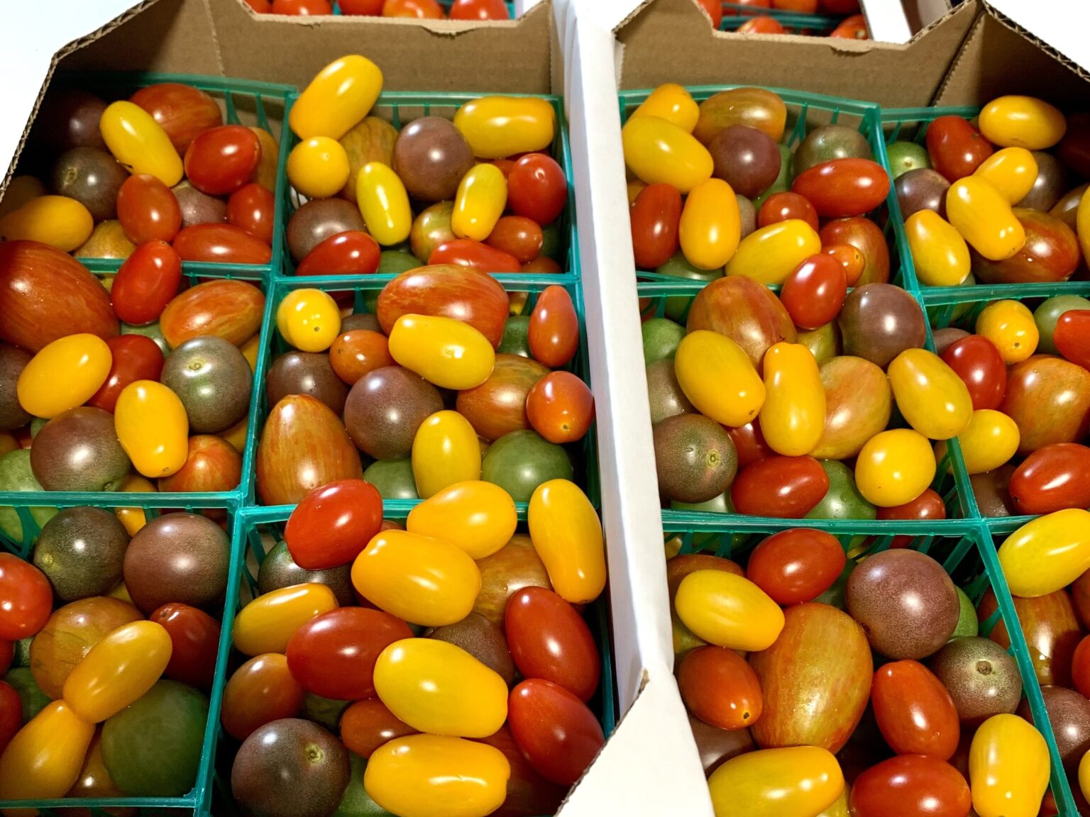 Lady Moon Farms with organic farms on the USA East Coast